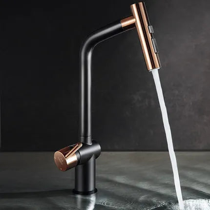 Scarpo-Black with rose gold -New 2024 Nordic design dual pull spray ki ...