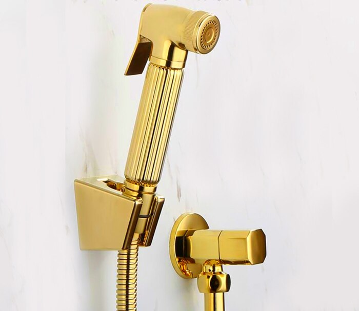 Polished Gold Wall Mounted Bidet Set BD211-B – sanicanada