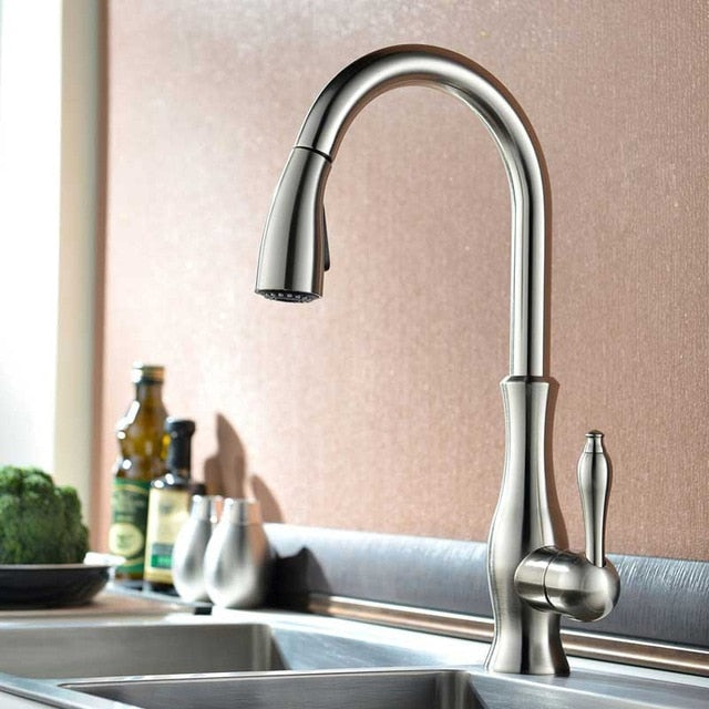 Transitional Design Pull Out Dual Mode Sprayer Kitchen Faucet – sanicanada